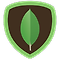 Видеокурсы по Mongodb от Code With Antonio