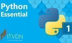 Python Essential | itvdn
