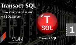 Transact SQL | itvdn