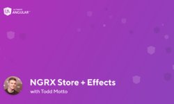 NGRX Store + Effects (Todd Motto) | ultimatecourses.com