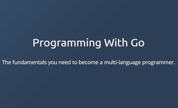 Программирование с Go | programmingexpert.io