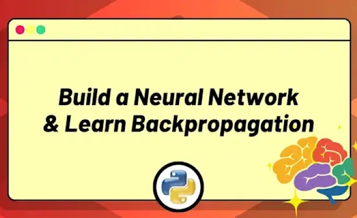 Создание нейронной сети и изучение обратного распространения | zerotomastery.io